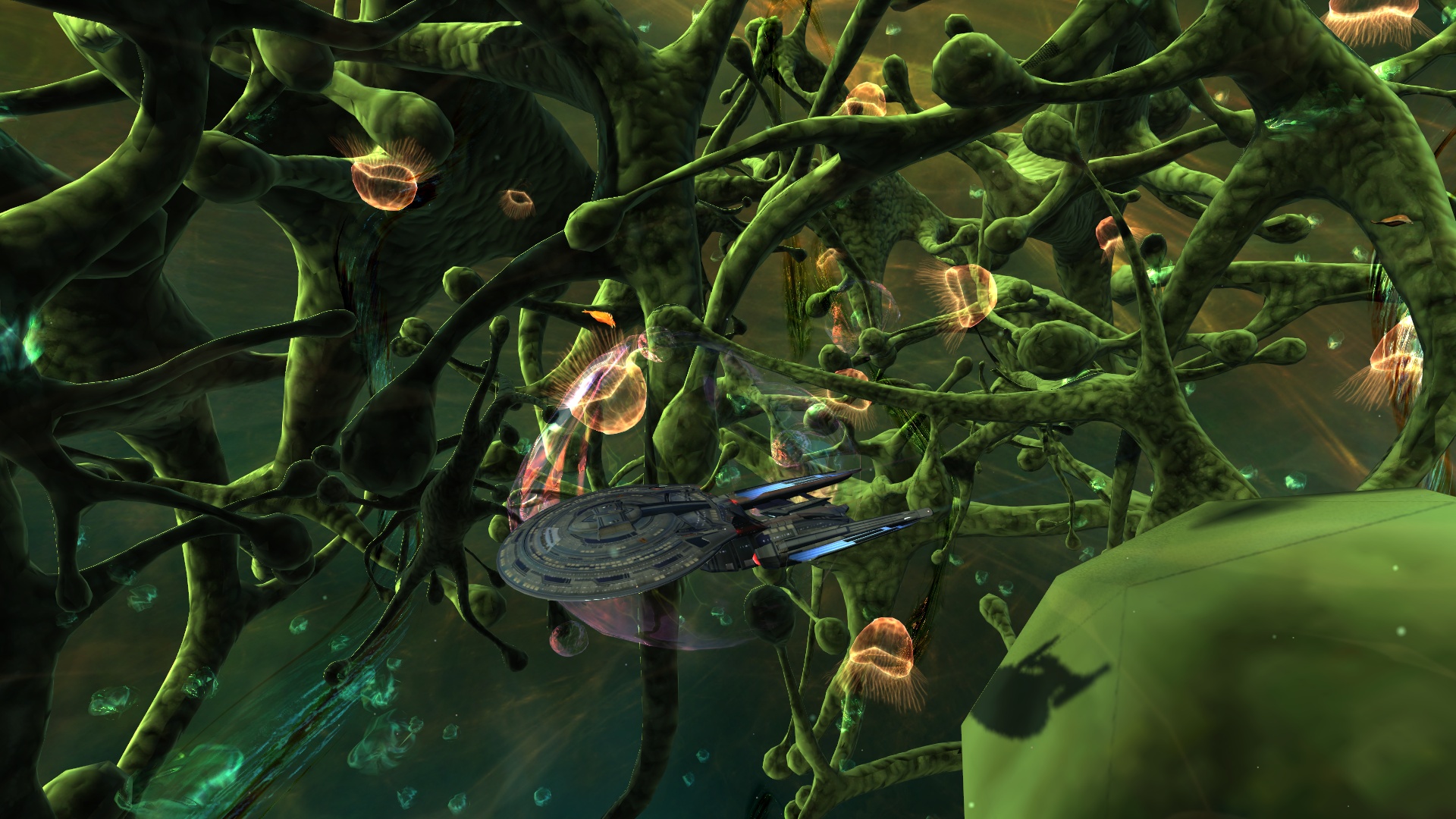 Return for Species 8472 in the future and what is fluidic space like? : r/DaystromInstitute